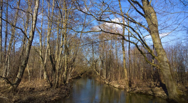 River in the Spring. Spring Landscape on the River. Stock Photo - Image ...