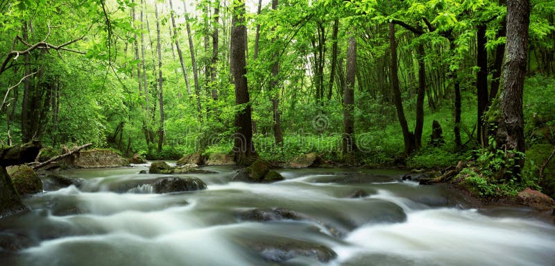 River in spring forest stock image. Image of outdoor, waterfall - 5267729