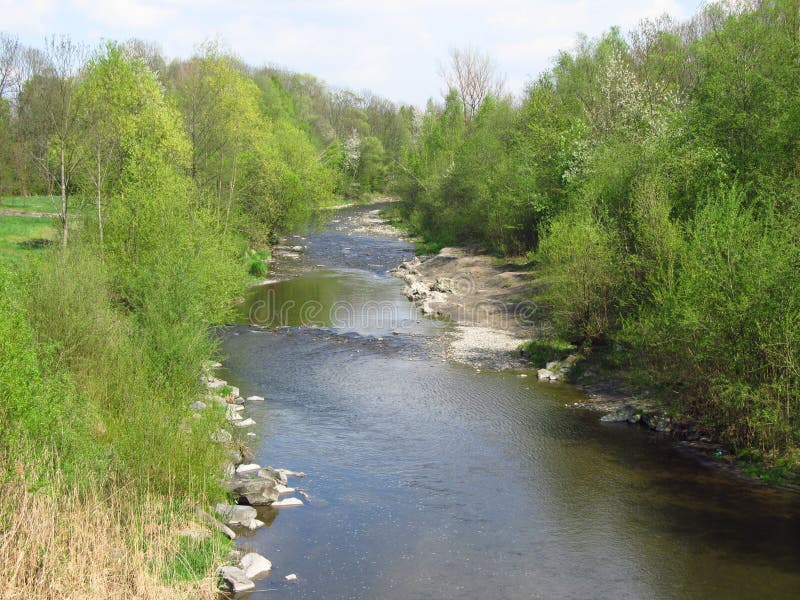 River in spring forest stock image. Image of plants, grow - 53566575
