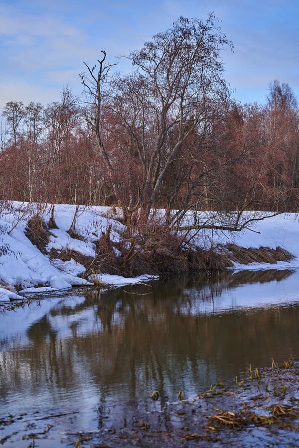 The River in the Spring. Melting Ice Stock Image - Image of melted ...