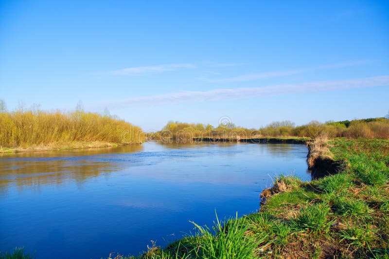 River in the Spring. Nature Composition. Stock Photo - Image of nature ...