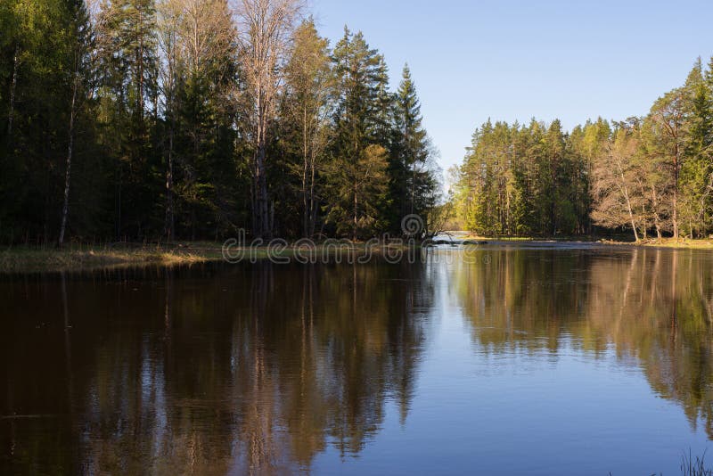 River in spring stock photo. Image of nature, view, sweden - 53938352