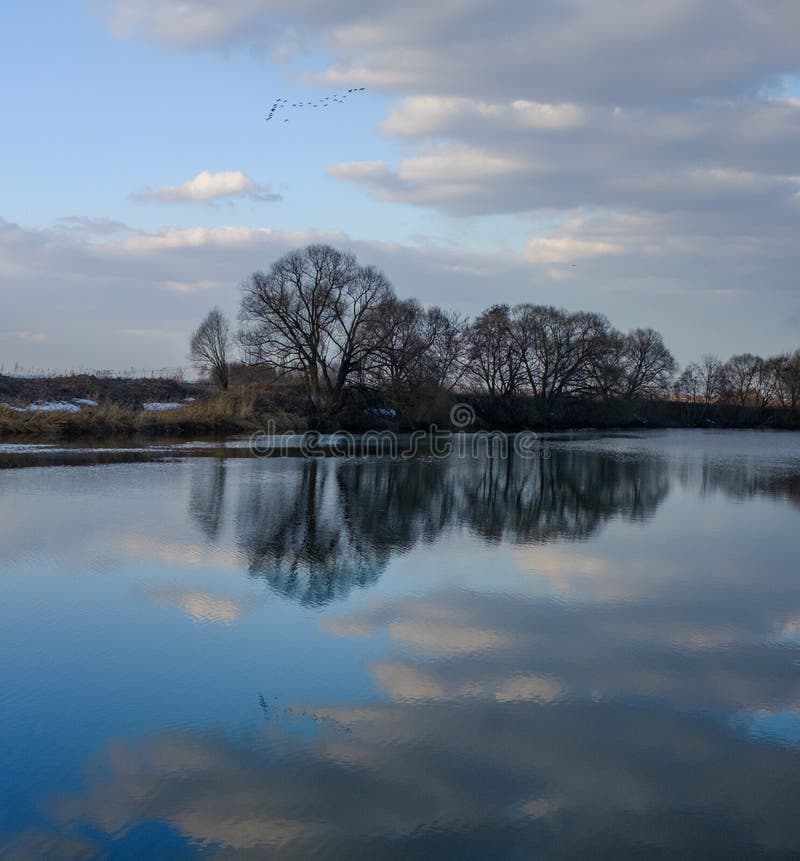 Migrating Birds on Spring River Symmetrical Scape. Water Sky Reflection ...