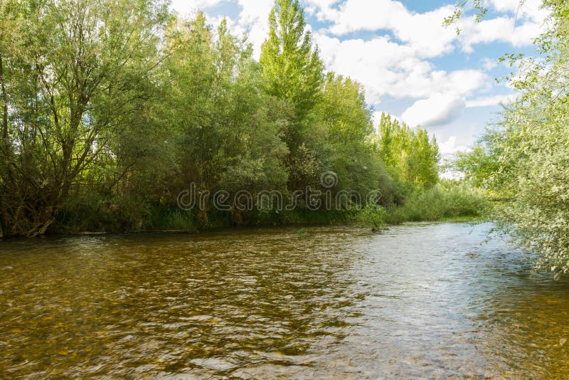 River in Spring stock photo. Image of trees, raft, lush - 39362106