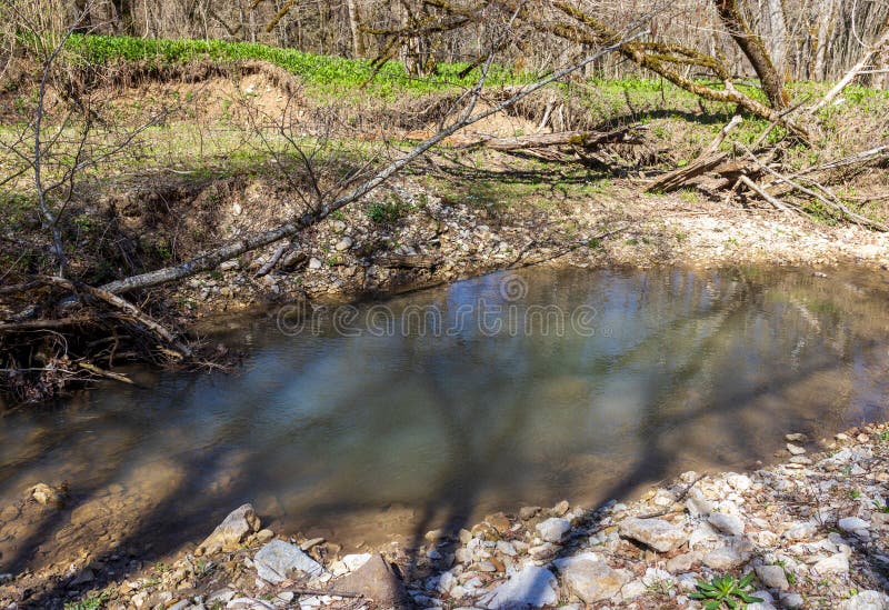 Mountain River, Spring Day Walks Along the Riverbed of a Water Barrier ...