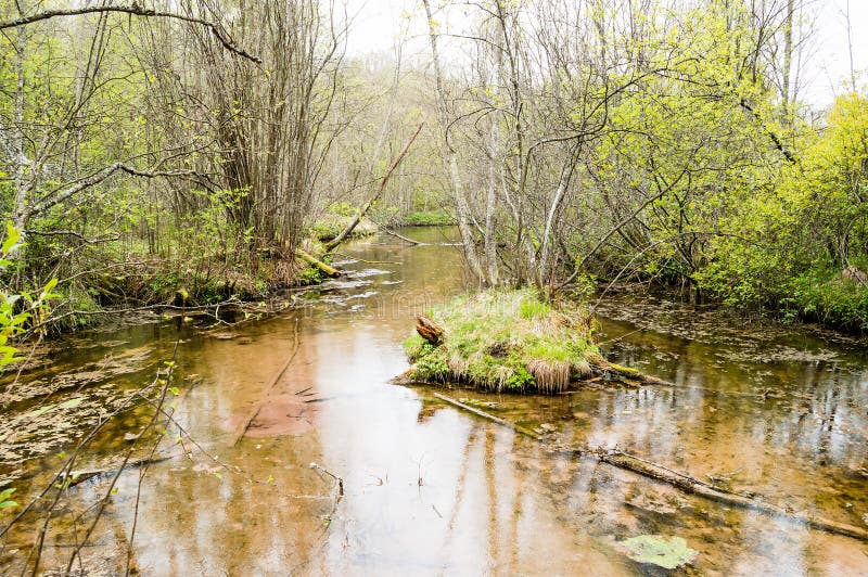 Beaver Dam on Huntington Creek in Emery County Utah Stock Image - Image ...