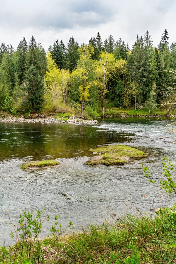 River in Springtime 2 stock photo. Image of snoqualmie - 316863292