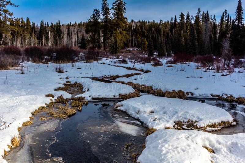 877 Three Way Spring Stock Photos - Free & Royalty-Free Stock Photos ...