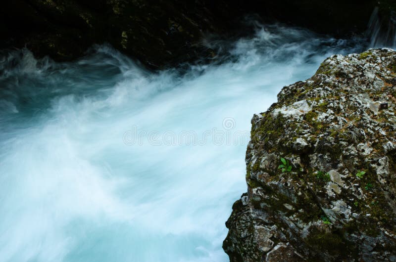 River Steam stock photo. Image of cold, fast, wood, white - 81916020