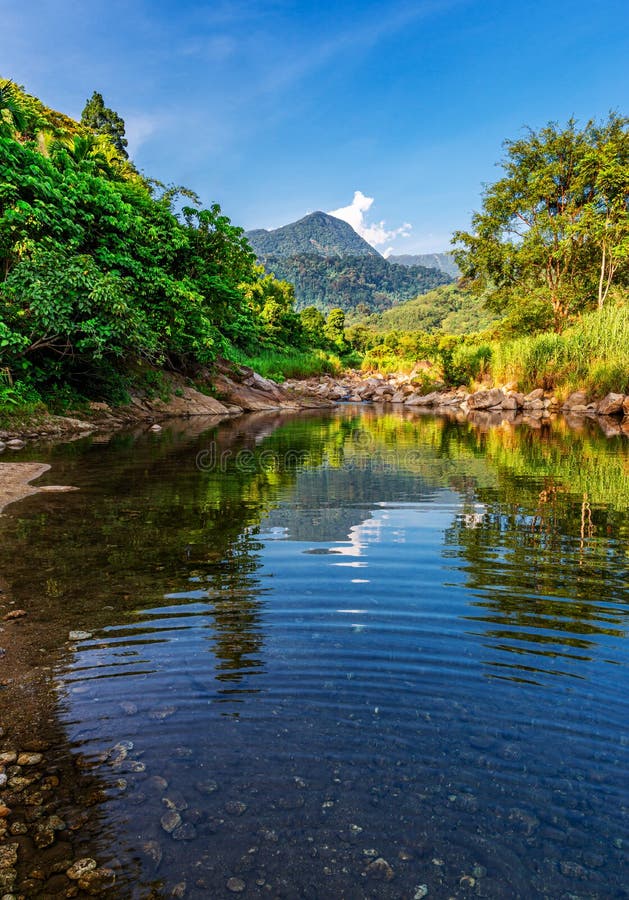 River in Forest and River Stone with Tree and Sunlight in Nature Stock ...