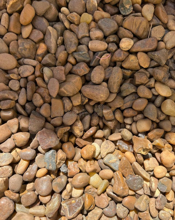 River Stone Covered Ground with Shadow Stock Image - Image of building ...