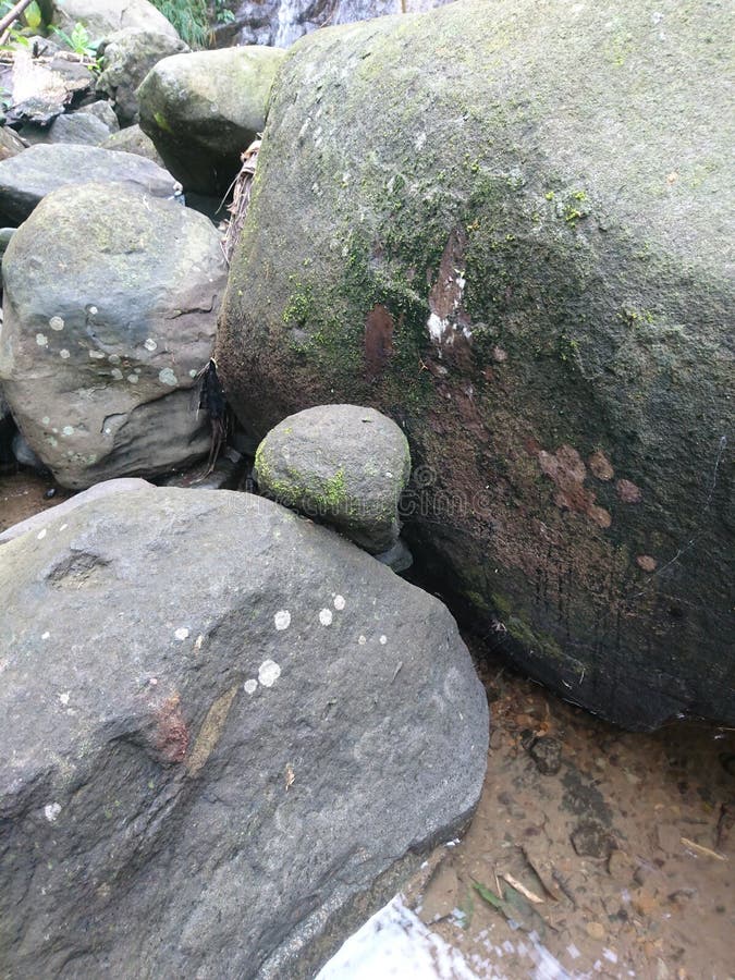River Stone stock image. Image of boulder, wildlife - 263376663
