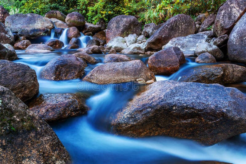 River Stone and Tree Colorful, View Water River Tree in Forest Stock ...