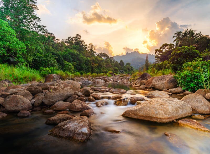 River Stone and Tree with Sky and Cloud Colorful, Stone River and Tree ...