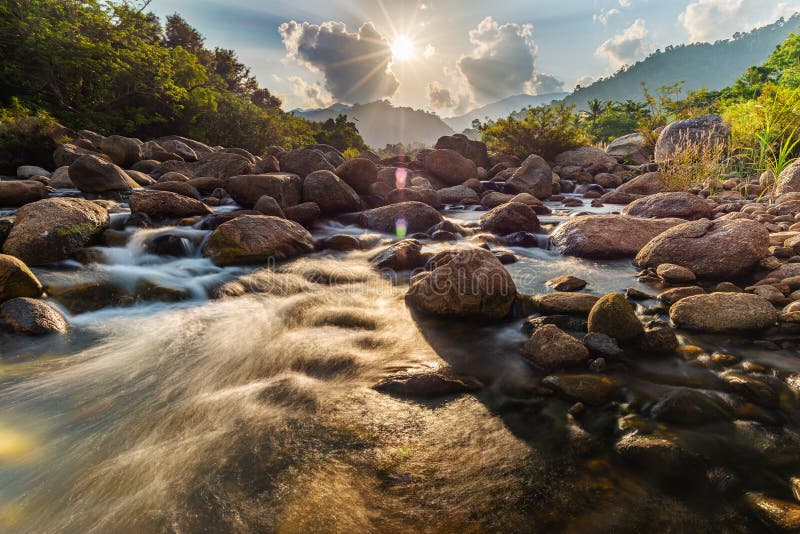 River Stone and Tree with Sun Beam, Stone River and Sun Ray in Forest ...