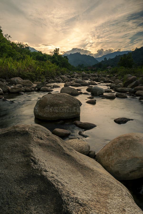 River Stone , View Water River Tree, Stone River and Sun in Forest ...