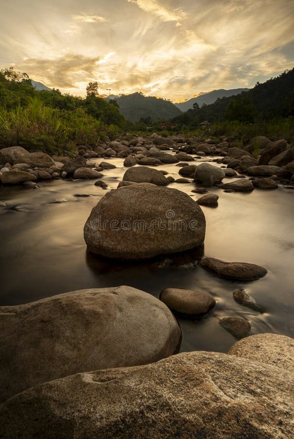 River in Forest and River Stone with Tree and Sunlight in Nature Stock ...