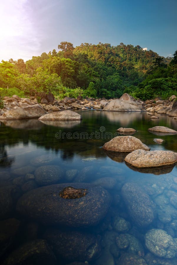 River in Forest and River Stone with Tree and Sunlight in Nature Stock ...