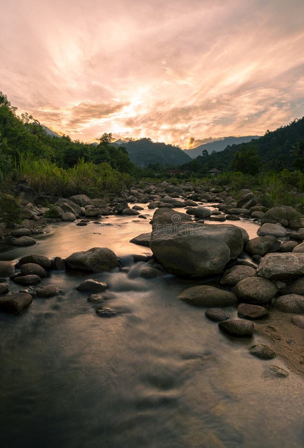 River in Forest and River Stone with Tree and Sunlight in Nature Stock ...