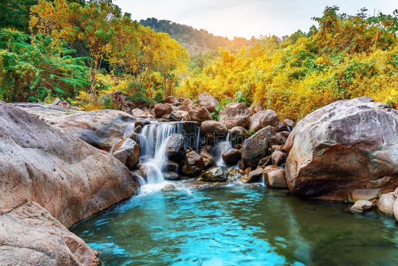 River Stone and Water Fall with Tree in Forest Stock Photo - Image of ...