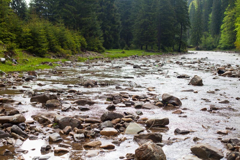 River with Stones in the Forest Stock Image - Image of beautiful, river ...