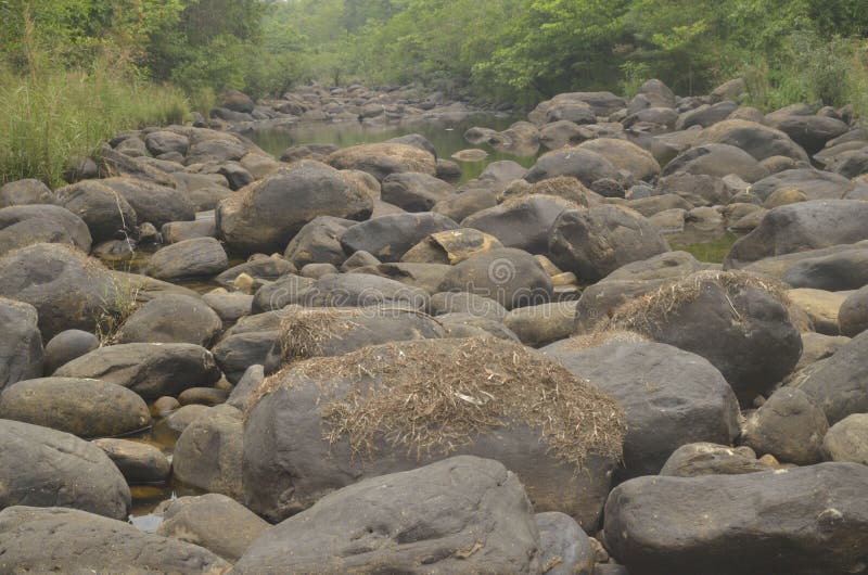 River stones in forest stock photo. Image of clear, environment - 88732550