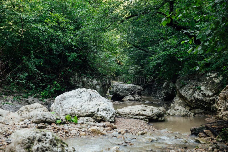 River between Stones in the Forest Travel Hike Stock Image - Image of ...