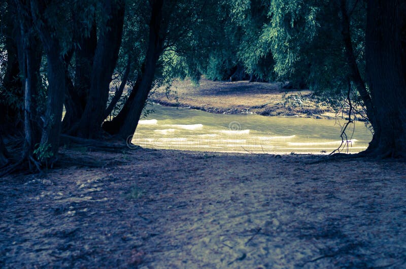 River strand stock image. Image of strand, flowing, tree - 56700659