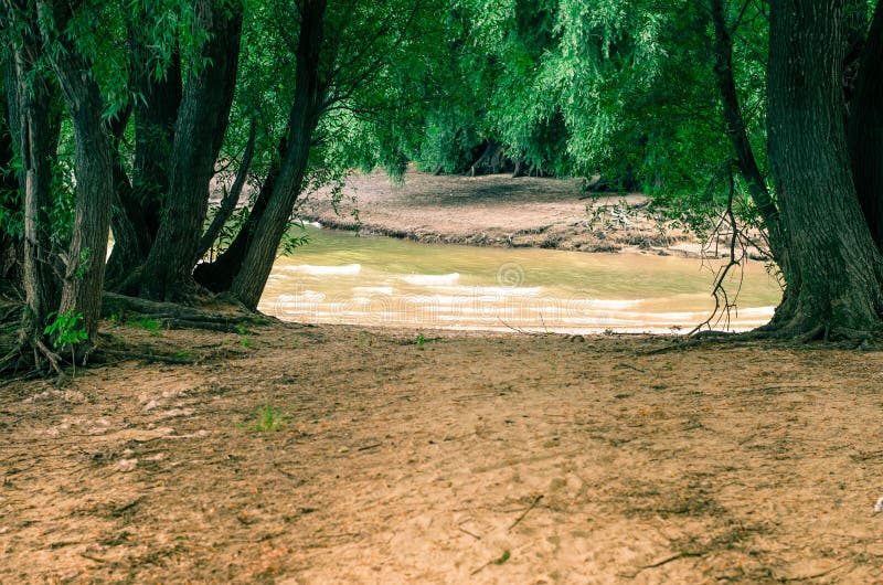 River Strand, Trees and Sand Stock Photo - Image of wild, place: 56700394