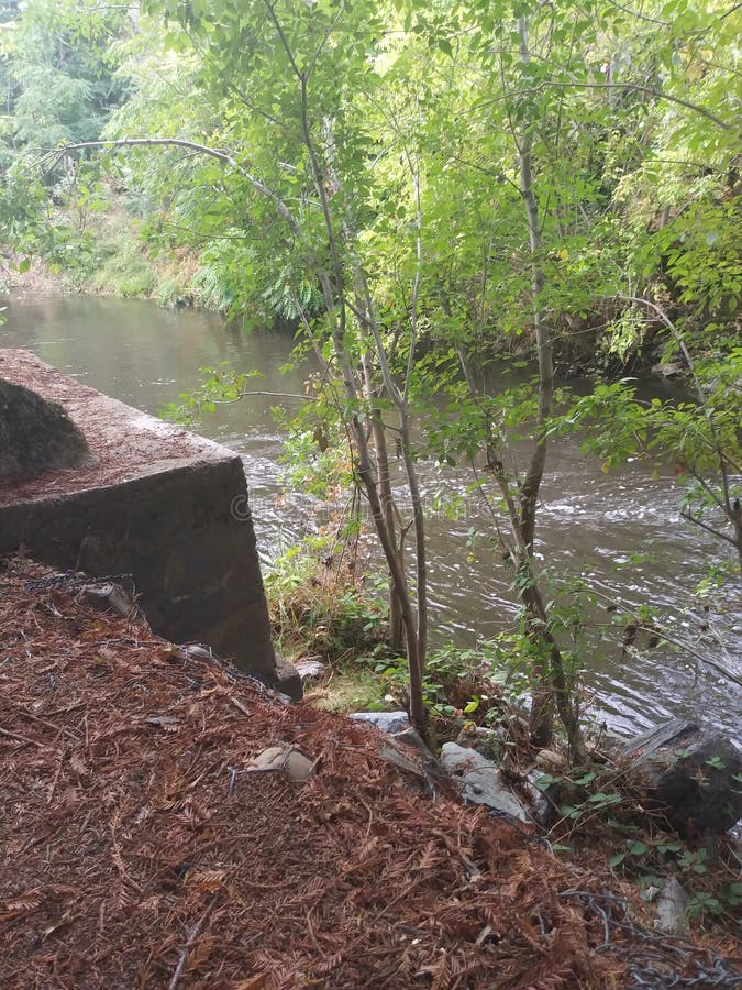 River Stream stock image. Image of beauty, nature, stream - 127932269