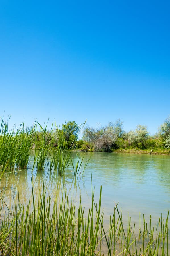 River, Stream, Flood, Effluent, Ford, Nulla Stock Photo - Image of ...