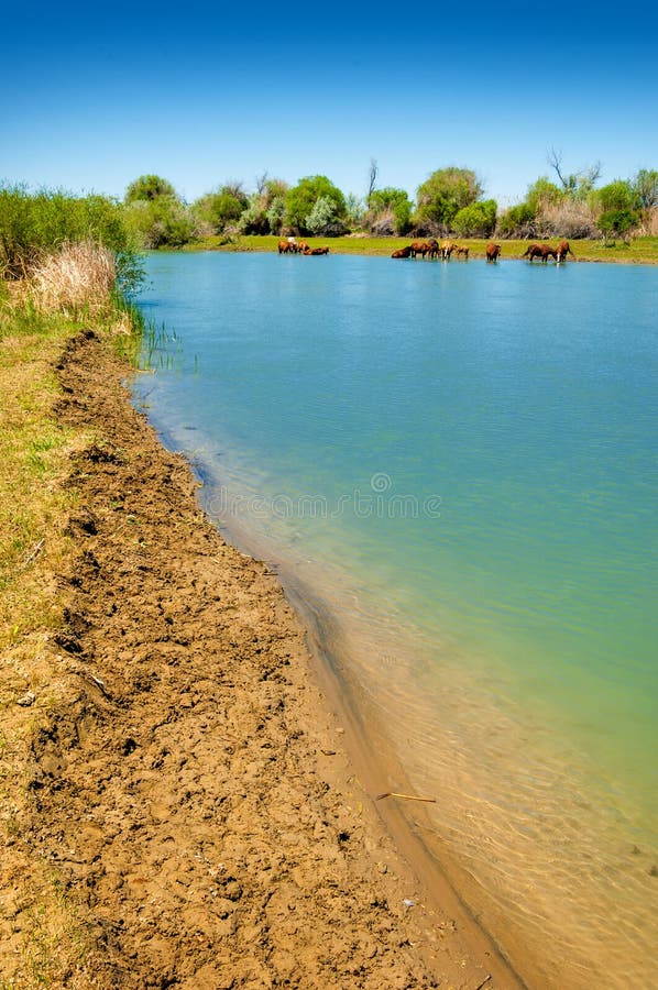 River, Stream, Flood, Effluent, Ford, Nulla Stock Photo - Image of ...