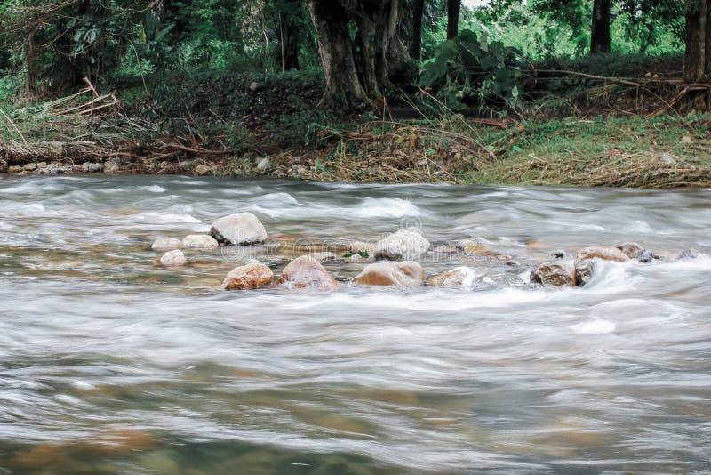 River Stream Flow on High Mysterious Mountainous Deep Jungle.Scenery of ...