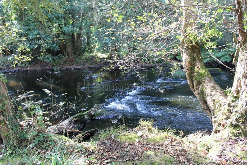 Pretty River with Large Rocks on Its Banks in Italy Stock Photo - Image ...