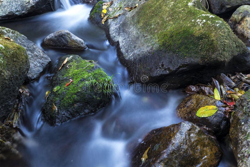 River stream stock photo. Image of environment, natural - 40360796