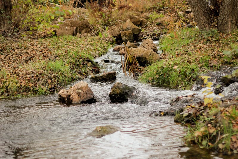 River stream in nature stock image. Image of outdoors - 189823077