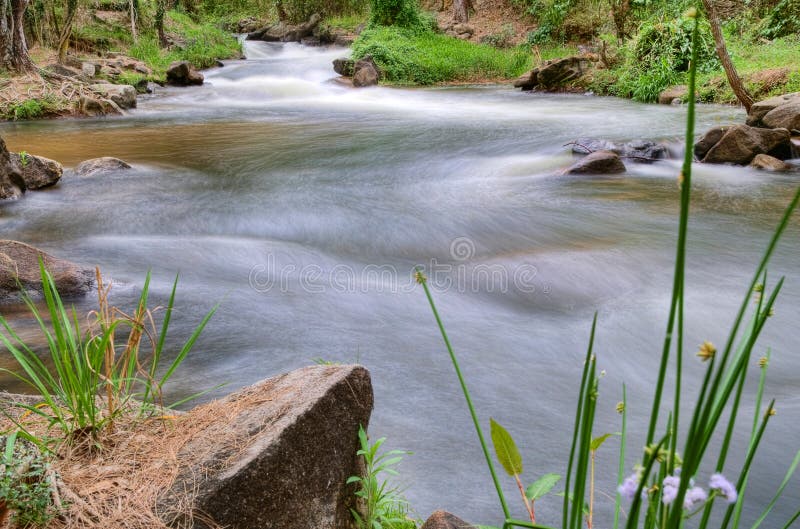 River or Stream Nature Landscape Stock Image - Image of landscape ...