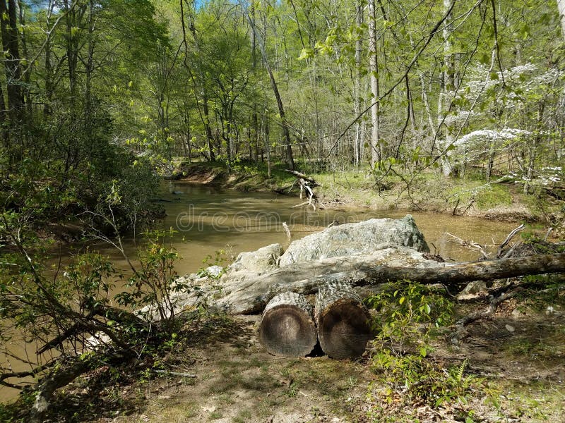 River or Stream with Rocks and Trees in Forest Stock Photo - Image of ...