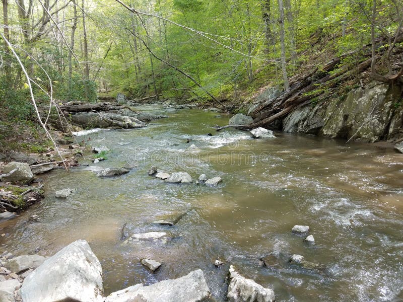 River or Stream with Rocks and Trees in Forest Stock Image - Image of ...