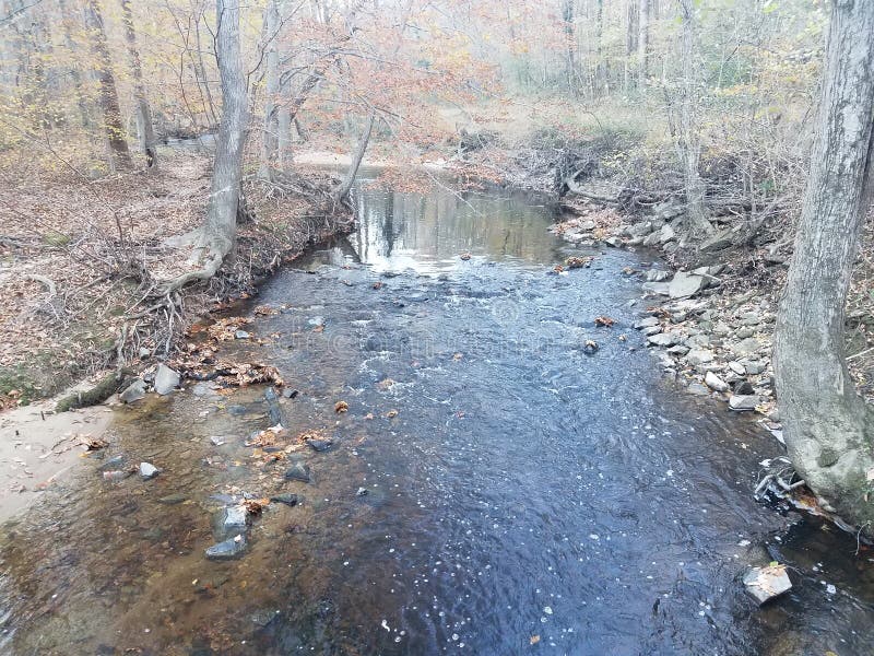 River or Stream with Rocks, Water, and Trees Stock Image - Image of ...