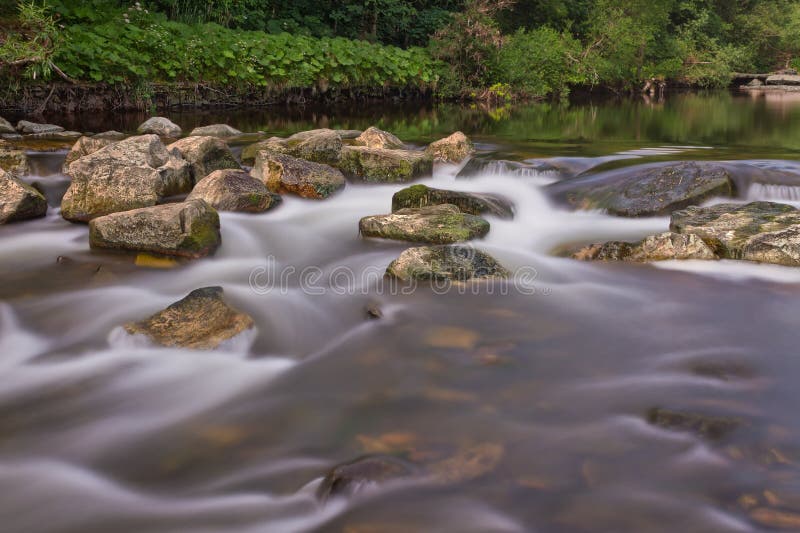 River Stream stock image. Image of lush, leaf, glade - 32369829