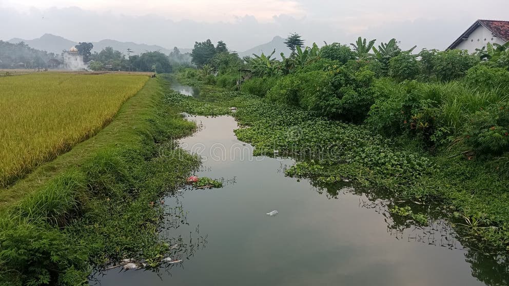 River, Stream, Water, Natural, Rush Stock Image - Image of rush, river ...