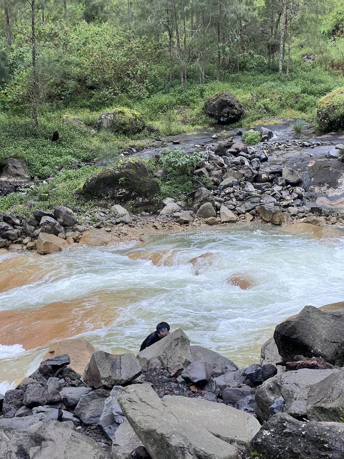 River Stream Waterfall in Forest Landscape Stock Image - Image of flowing, jungle: 375444667