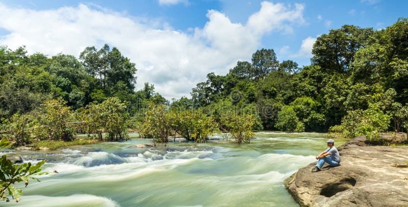 River Stream Waterfall in Forest Landscape Stock Photo - Image of ...