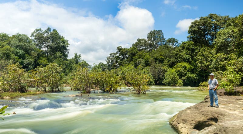 River Stream Waterfall in Forest Landscape Stock Image - Image of water ...