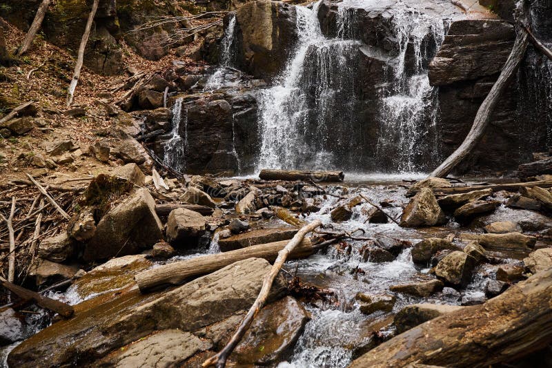 River Stream Waterfall in Forest Landscape Stock Image - Image of ...