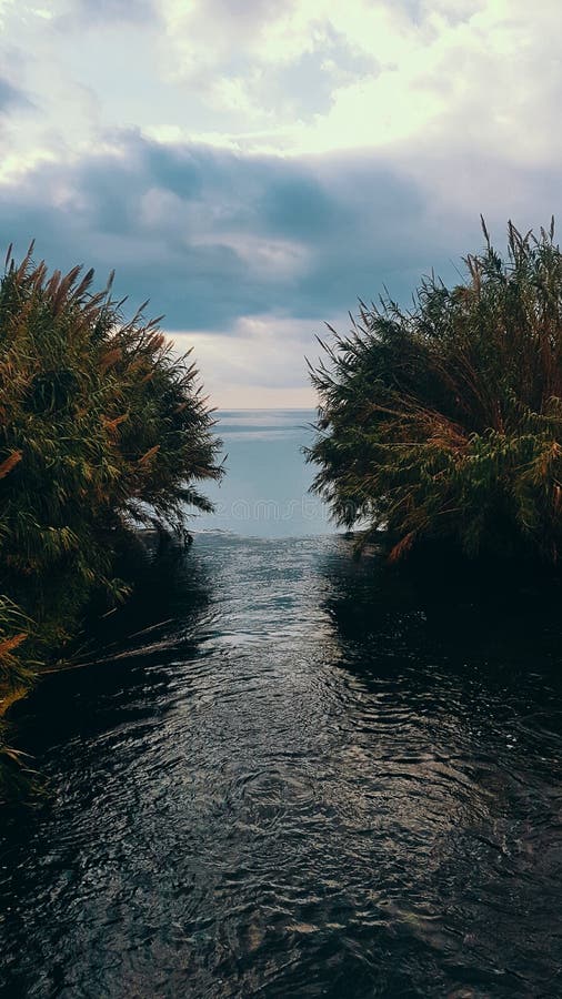 River, Stream, Waterfall, Nature, Cloud, Sea, Bush, Nature Stock Photo ...