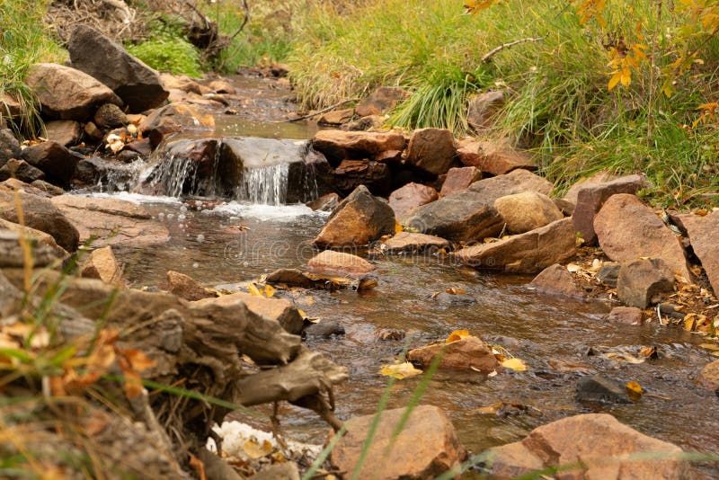 River Streaming through a Park Stock Image - Image of foliage, nature ...