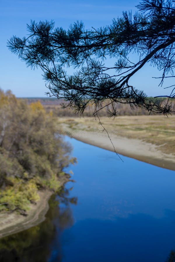 Beautiful River among the Forest and Ravines. among the Birches and ...