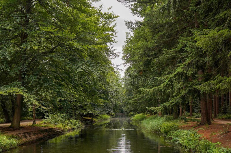 A River Stretching into the Distance with Trees on the Sides. Stock ...